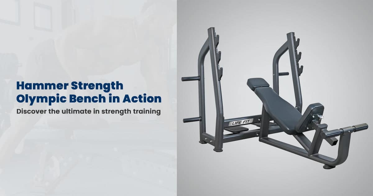 Best Hammer Strength Olympic Benches for Weight Training - Life Fit India